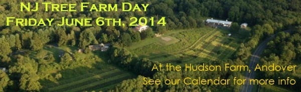 New Jersey Tree Farm Program