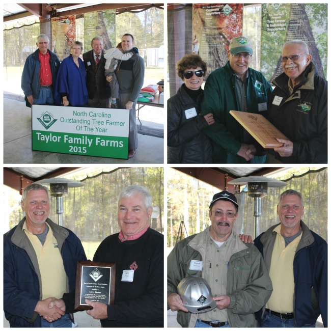North Carolina Tree Farm Program