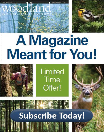 Tree Farm Management Plan Template