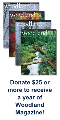 American Tree Farm System Certification