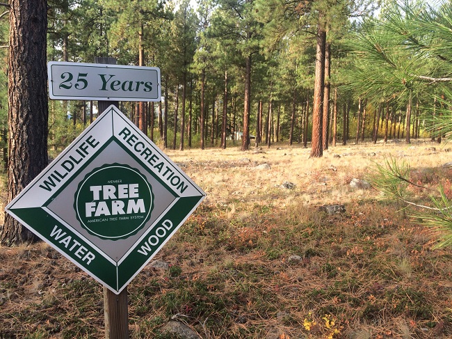 Montana Tree Farm Program