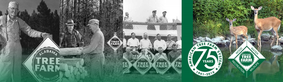 American Tree Farm System