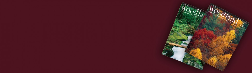 American Tree Farm System